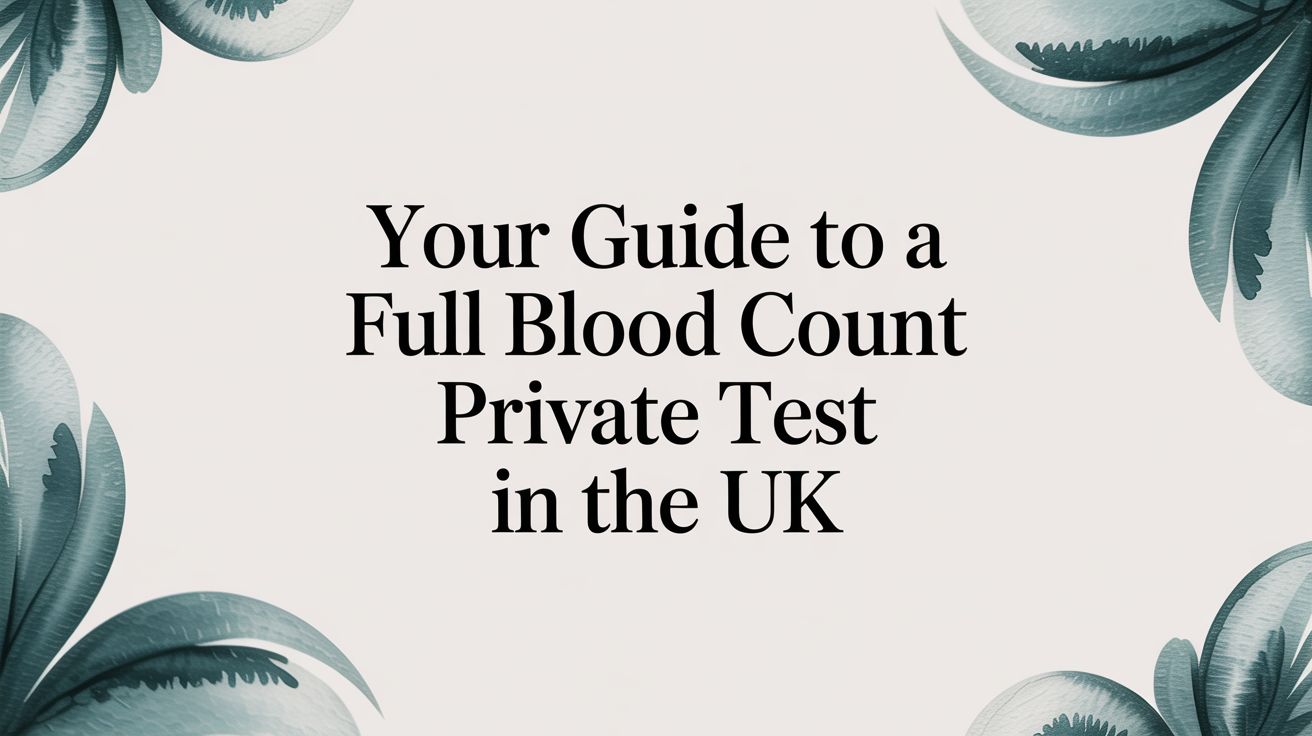Your Guide to a Full Blood Count Private Test in the UK